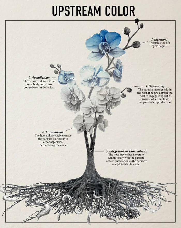 UPSTREAM COLOR (REGION FREE IMPORT) BLU-RAY